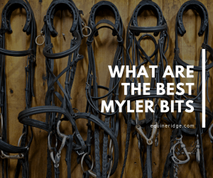 Best Myler Bits – Equine Ridge