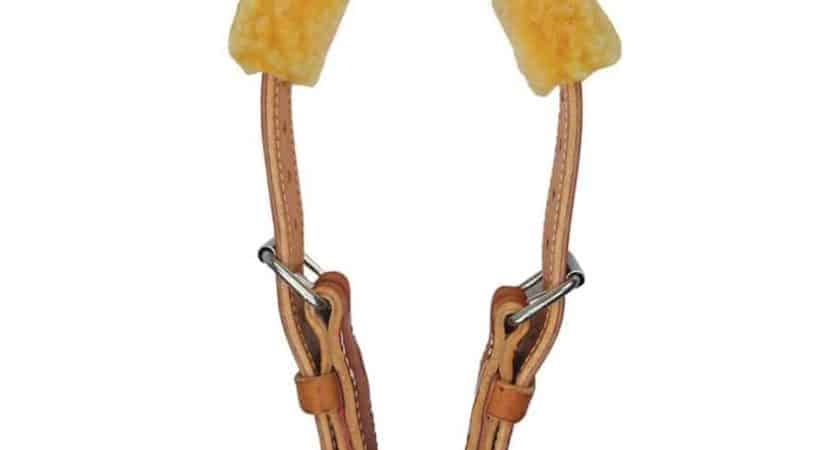 Best Cribbing Collar [2019] - Equine Ridge [Recommended Equine Cribbing ...